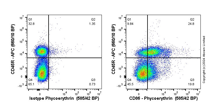 Anti-CD86 PE antibody [OX48] (ab320067) Mouse monoclonal IgG1 | Abcam