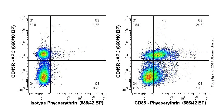 Anti-CD86 PE antibody [OX48] (ab320067) Mouse monoclonal IgG1 | Abcam