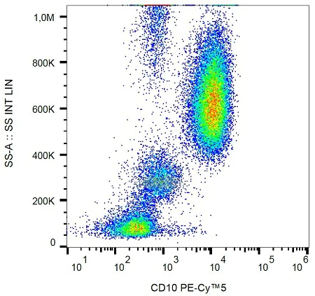 Anti-CD10 PE/Cy5® antibody [MEM-78] (ab233452) IgG1 | Abcam