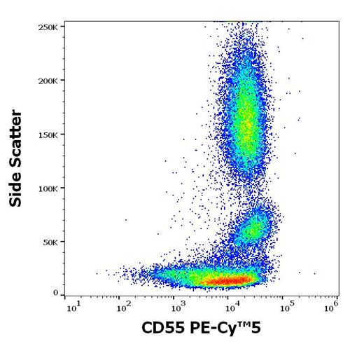 Anti-CD55 PE/Cy5® antibody [MEM118] (ab232907) Mouse monoclonal IgM | Abcam
