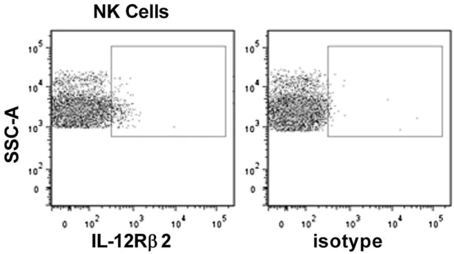 PE/Cy5® Conjugation Kit - Lightning-Link® | Easy PE/Cy5 Labelling ...