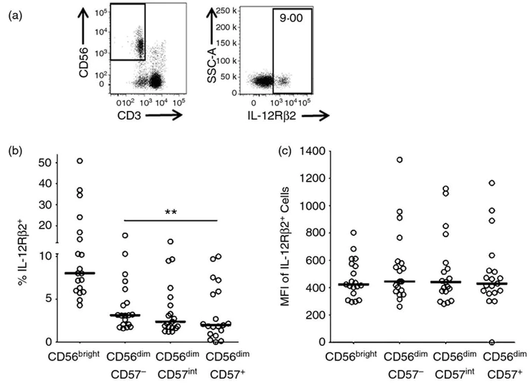 PE/Cy5® Conjugation Kit - Lightning-Link® | Easy PE/Cy5 Labelling ...