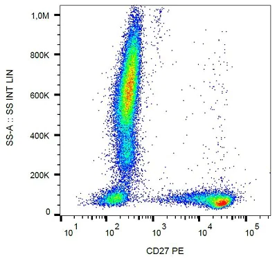 Anti-CD27 PE/Cy7® antibody [LT27] (ab233581) Mouse monoclonal IgG2a | Abcam
