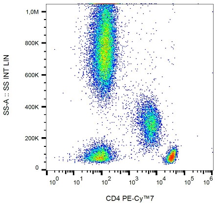Anti-CD4 PE/Cy7® antibody [MEM241] (ab233660) Mouse monoclonal IgG1 | Abcam