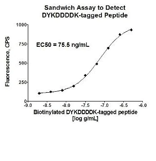 PE conjugated Anti-DDDDK tag (Binds to FLAG® tag sequence) antibody [M2 ...