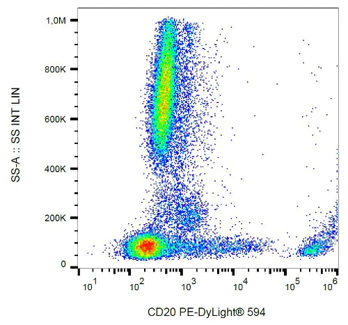 Anti-CD20 PE/DyLight™ 594 antibody [2H7] (ab187593) IgG2b | Abcam