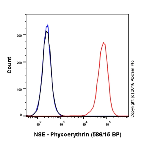 Anti-NSE - Neuronal Marker PE antibody [EPR3377] (ab210631) IgG | Abcam