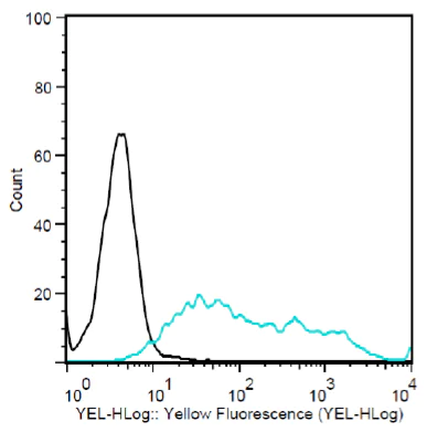 PE Anti-HA tag抗体[16B12] (ab72479)| Abcam中文官网