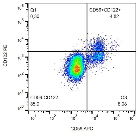 Anti-IL2 Receptor beta/p75 PE antibody [TU27] (ab232919) IgG1 | Abcam