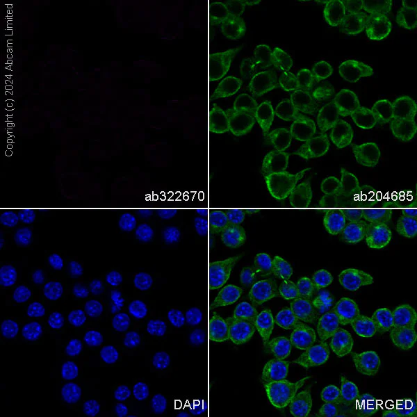 PE Mouse IgG1 monoclonal [R312-MouseIgG1]-Isotype control (ab322670 ...