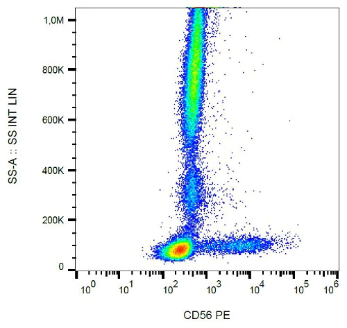 Anti-NCAM1 PE antibody [LT56] (ab191100) Mouse monoclonal IgG2a | Abcam