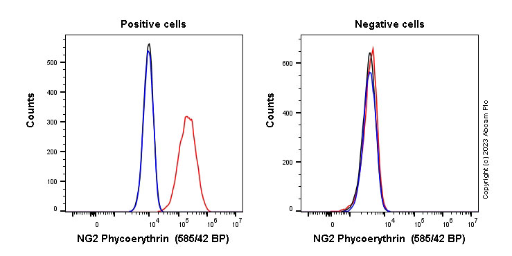 Anti-NG2 PE antibody [EPR22410-145] (ab314251) IgG | Abcam