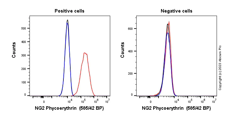 PE Anti-NG2抗体[EPR22410-145] (ab314251)| Abcam中文官网