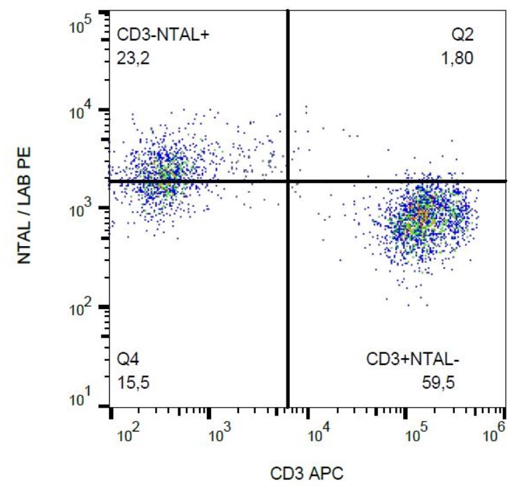 Anti-NTAL PE antibody [NAP-07] (ab27574) Mouse monoclonal IgG1 | Abcam