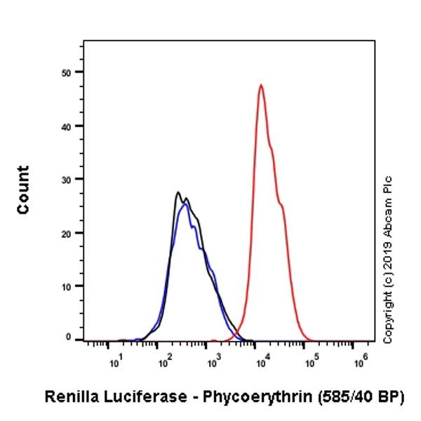 PE Anti-Renilla Luciferase抗体[EPR17792] (ab225340)| Abcam中文官网