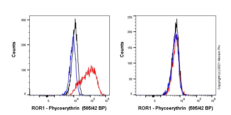 Anti-ROR1 PE antibody [EPR24451-141] (ab281779) IgG | Abcam