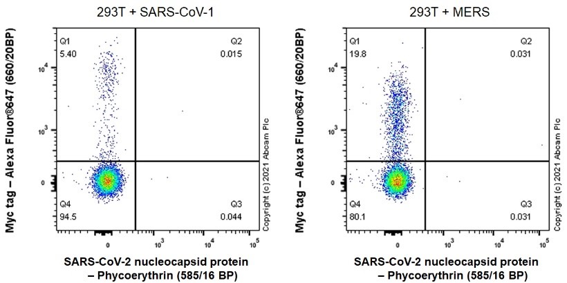 Anti-SARS-CoV-2 nucleocapsid protein PE antibody [EPR24334-118 ...
