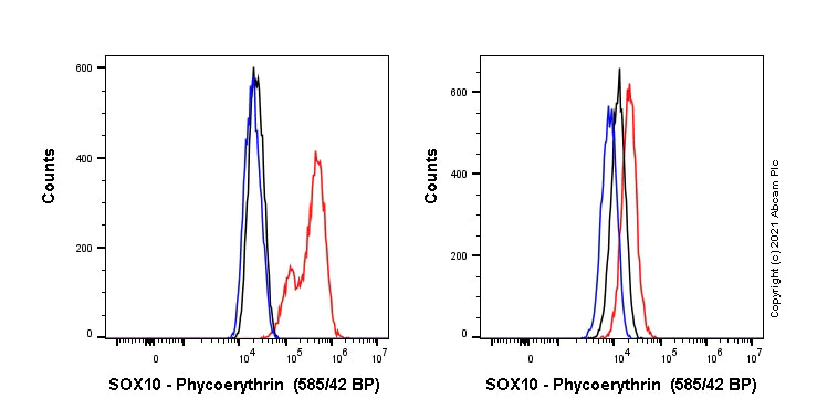 PE Anti-SOX10抗体[SP267] (ab270152)| Abcam中文官网