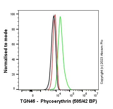 Anti-TGN46 PE antibody [EPR24770-16] (ab313945) IgG | Abcam