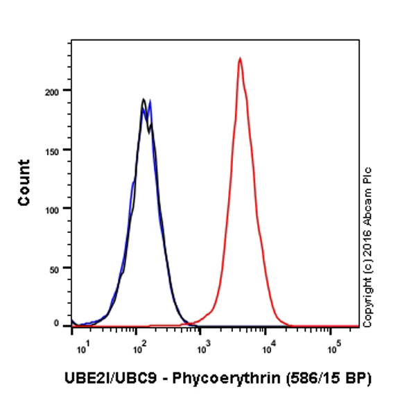 PE Anti-UBE2I / UBC9 antibody [EP2938Y] (ab209920) | Abcam