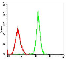 Anti-PER3 antibody [4B9D7] (ab201940) | Abcam