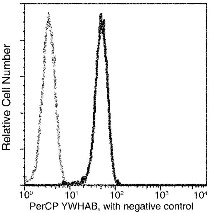 Anti-14-3-3 beta PerCP antibody [03] (ab275734) IgG2b | Abcam