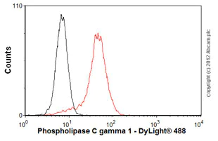 Anti-Phospholipase C gamma 1/PLC-gamma-1 antibody [M156] (ab41433) | Abcam