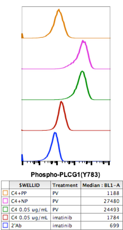 Anti-Phospholipase C gamma 1/PLC-gamma-1 (phospho Y783) antibody [PLCG1Y783-C4] (ab278707) | Abcam