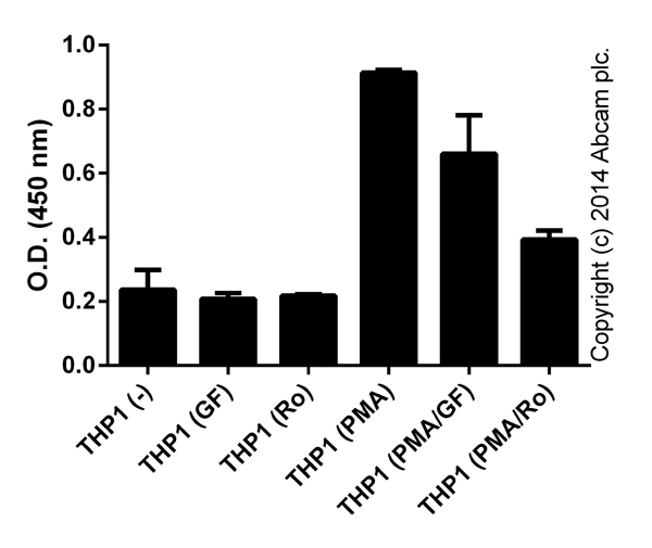 PKC Kinase Activity Assay Kit (ab139437) | Abcam