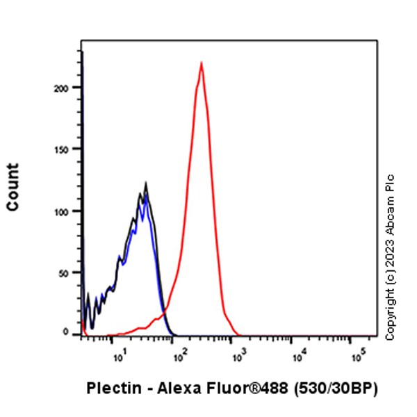 Anti-Plectin antibody [EPR26993-49] (ab312312) | Abcam