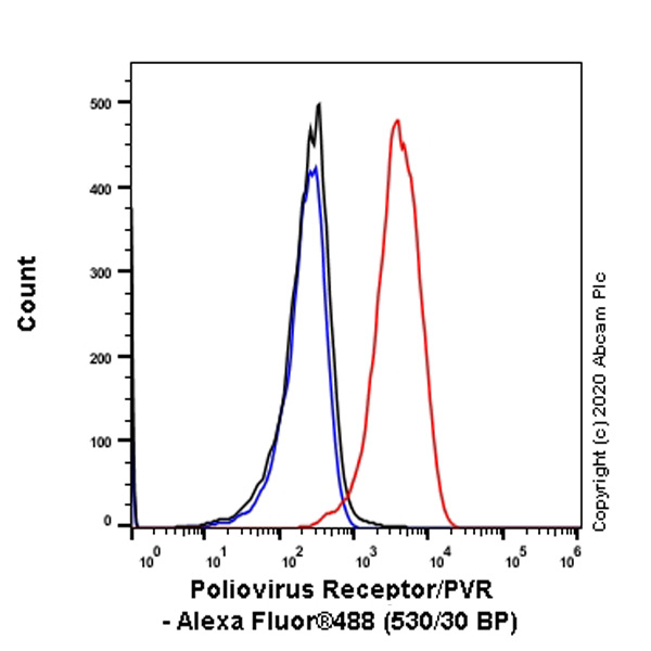 Anti-Poliovirus Receptor/PVR antibody [3F1] (ab252857) | Abcam