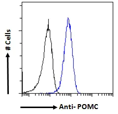 Anti-POMC antibody (ab32893) | Abcam
