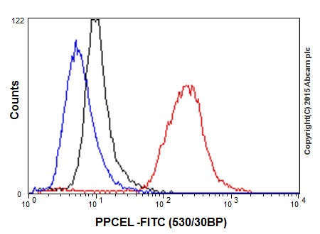 Anti-PPCEL/PREPL antibody [EPR17751] (ab202064) | Abcam