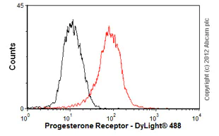 Progesterone Receptor抗体[Alpha PR6] (ab2765)| Abcam中文官网