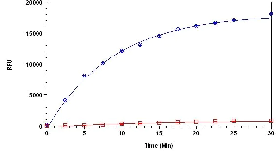 Protease Activity Assay Kit (Fluorometric - Green) (ab112152) | Abcam