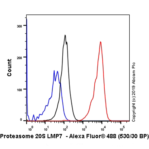 Anti-Proteasome 20S LMP7 antibody [EPR14482(B)] (ab180606) | Abcam