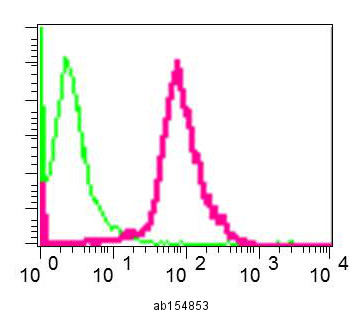 Anti-PTBP2 antibody [EPR9891] (ab154853) | Abcam