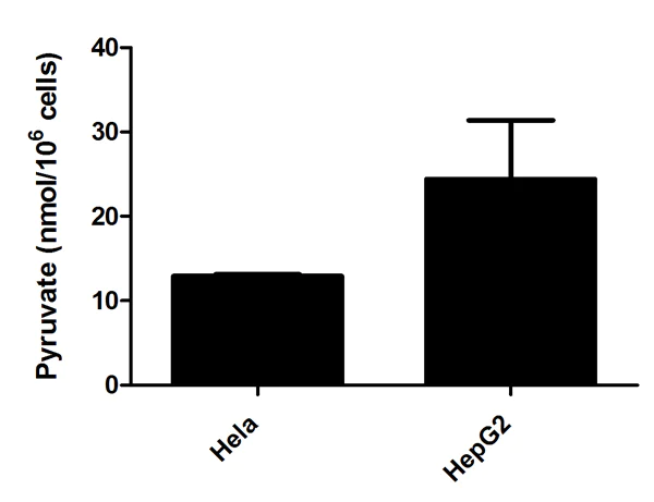 Pyruvate Assay Kit. Colorimetric/Fluorometric. (ab65342/K609)| Abcam