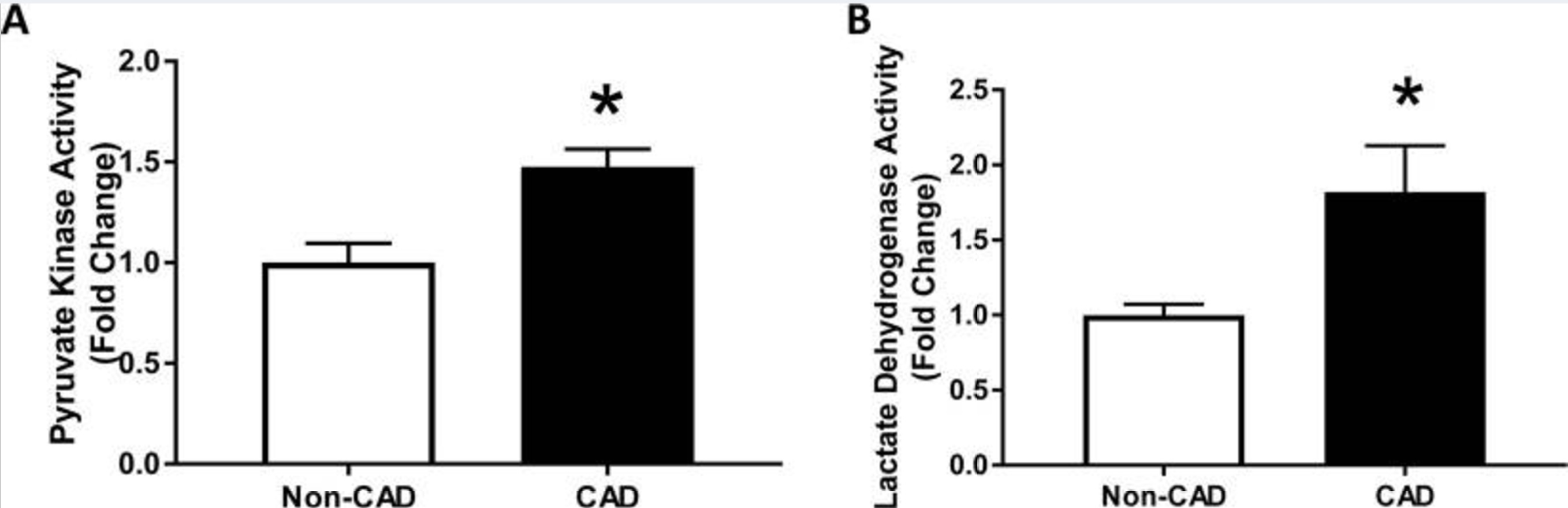 Pyruvate Kinase Activity Assay Kit (ab83432 / K709) | Abcam