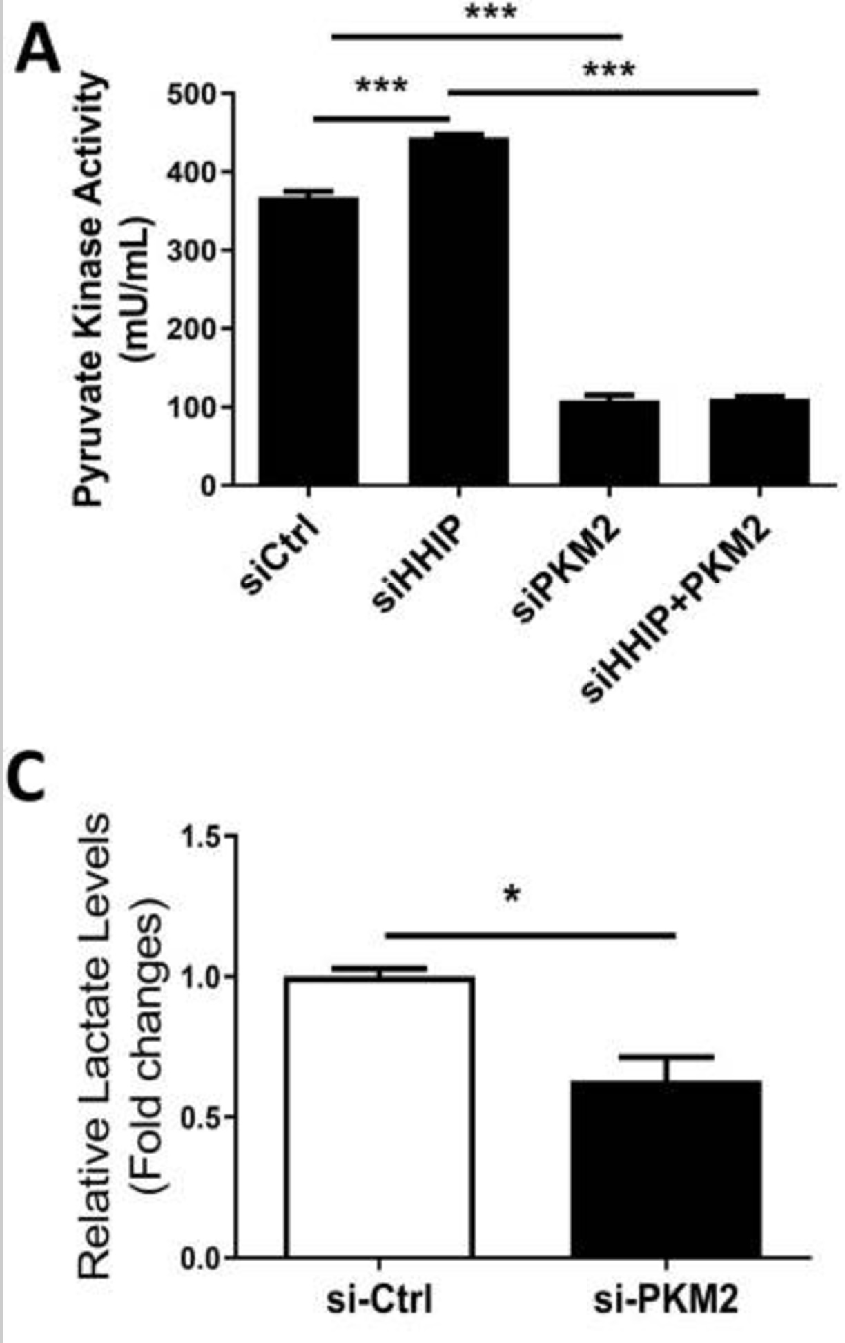 Pyruvate Kinase Activity Assay Kit (ab83432 / K709) | Abcam