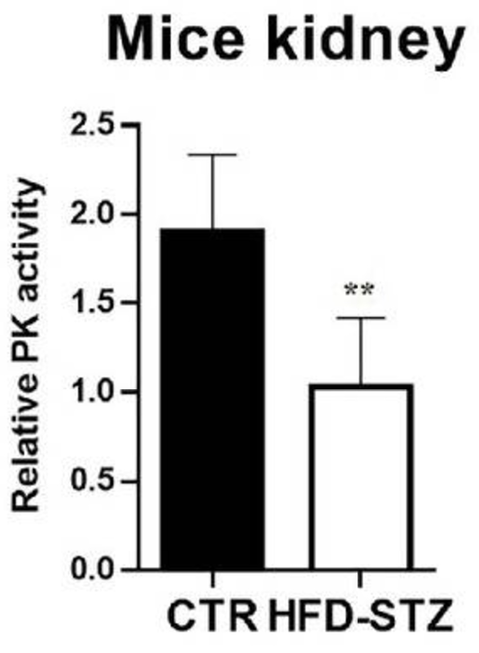 Pyruvate Kinase Activity Assay Kit (ab83432 / K709) | Abcam