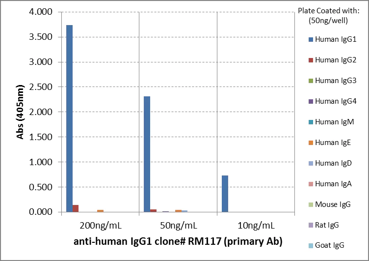 Rabbit monoclonal [RM117] Anti-Human IgG1 heavy chain (Biotin) (ab272183)