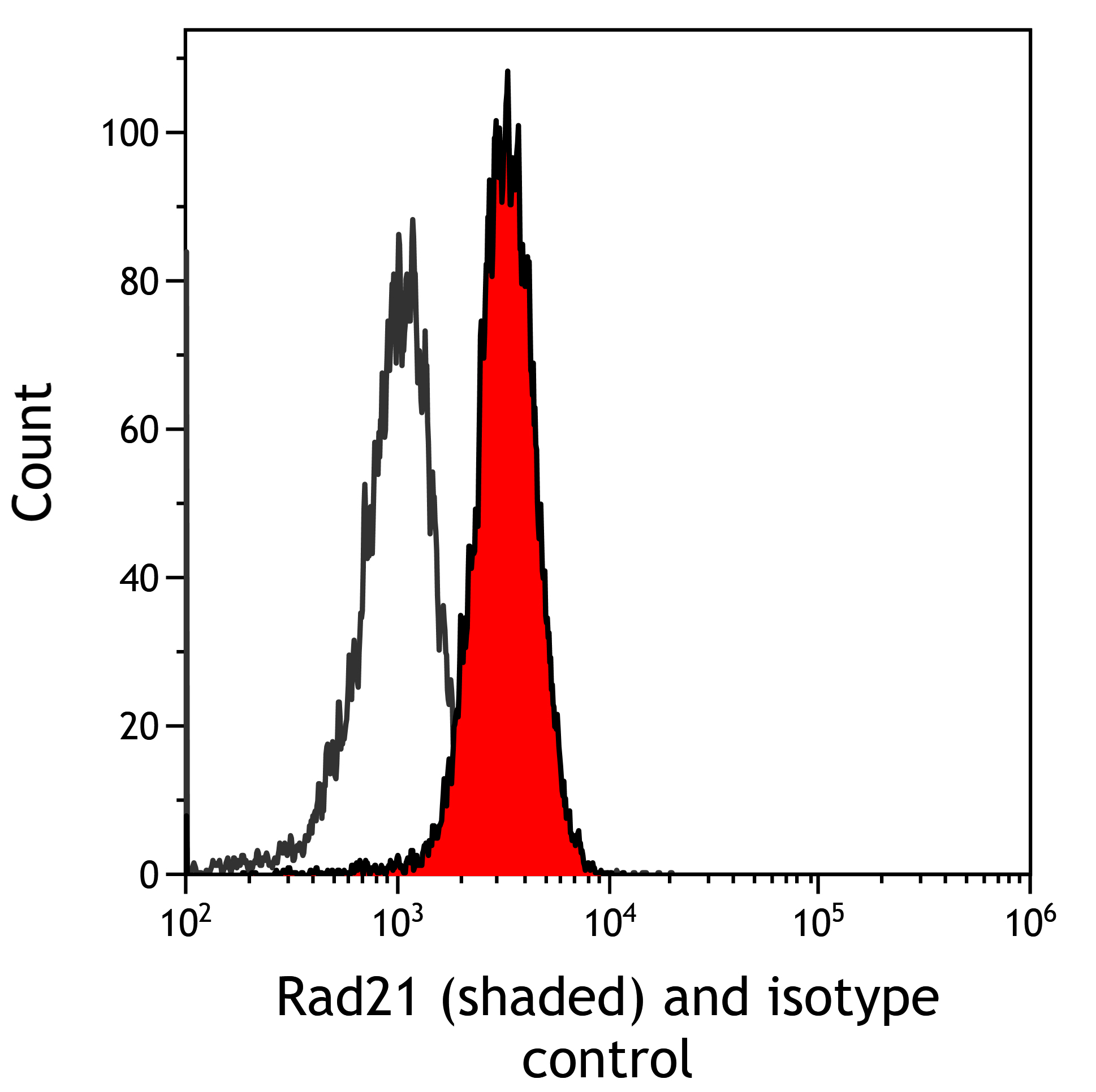 Anti-Rad21 antibody [BLR052F] (ab243905) | Abcam