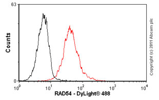 Anti-RAD54 antibody [Rad54 4E3/1] (ab11055) | Abcam