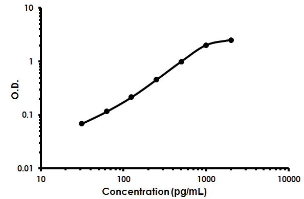 大鼠BMP-2 ELISA试剂盒 (ab213900)| Abcam中文官网