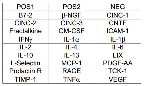 Rat Cytokine抗体阵列(27 Targets) - Quantitative (ab197483)| Abcam中文官网
