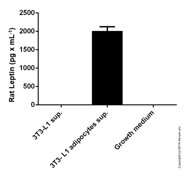 Rat Leptin ELISA Kit (ab100773) | Abcam