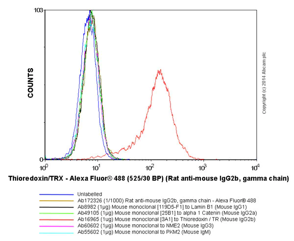 大鼠单克隆抗体[SB74g]抗小鼠IgG2b gamma chain (Alexa Fluor® 488) (ab172326)| Abcam中文官网