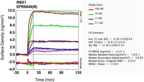 RBX1抗体[EPR6849(B)] (ab124950)| Abcam中文官网