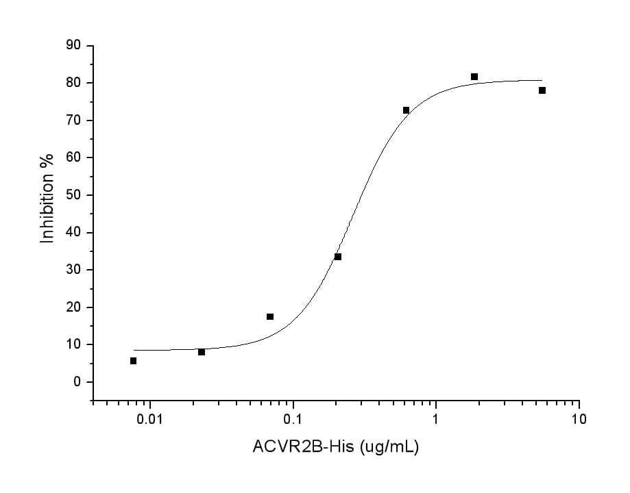 Recombinant human Activin Receptor Type IIB/ACVR2B protein (His tag ...